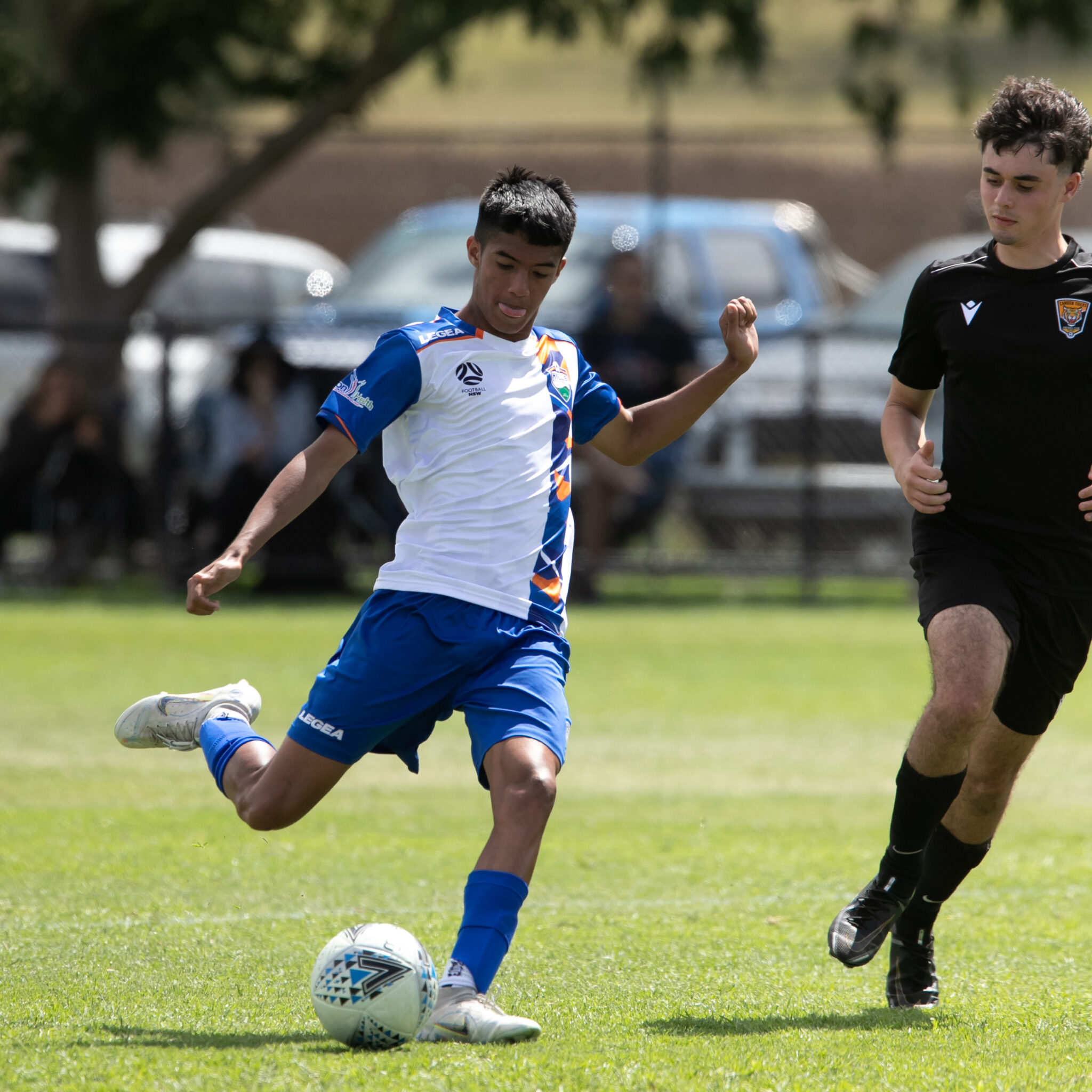 Hills Football AYL 2023 Season Wrap-Up | Hills Football Association